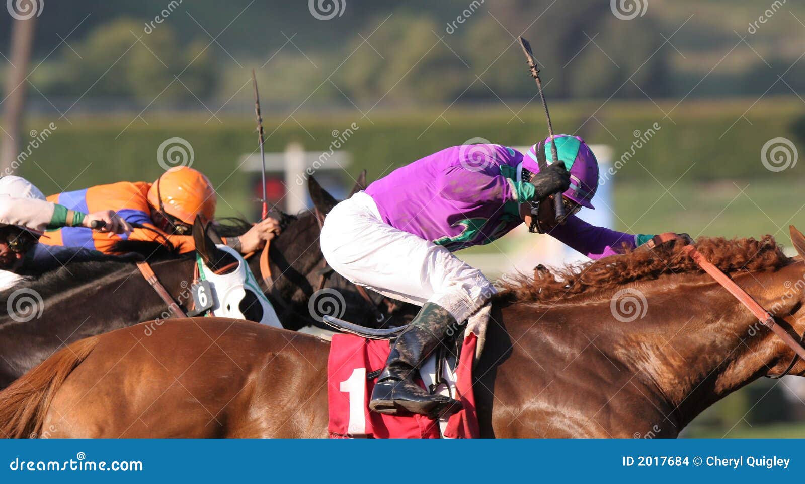 Fight to the Finish stock photo. Image of competition - 2017684