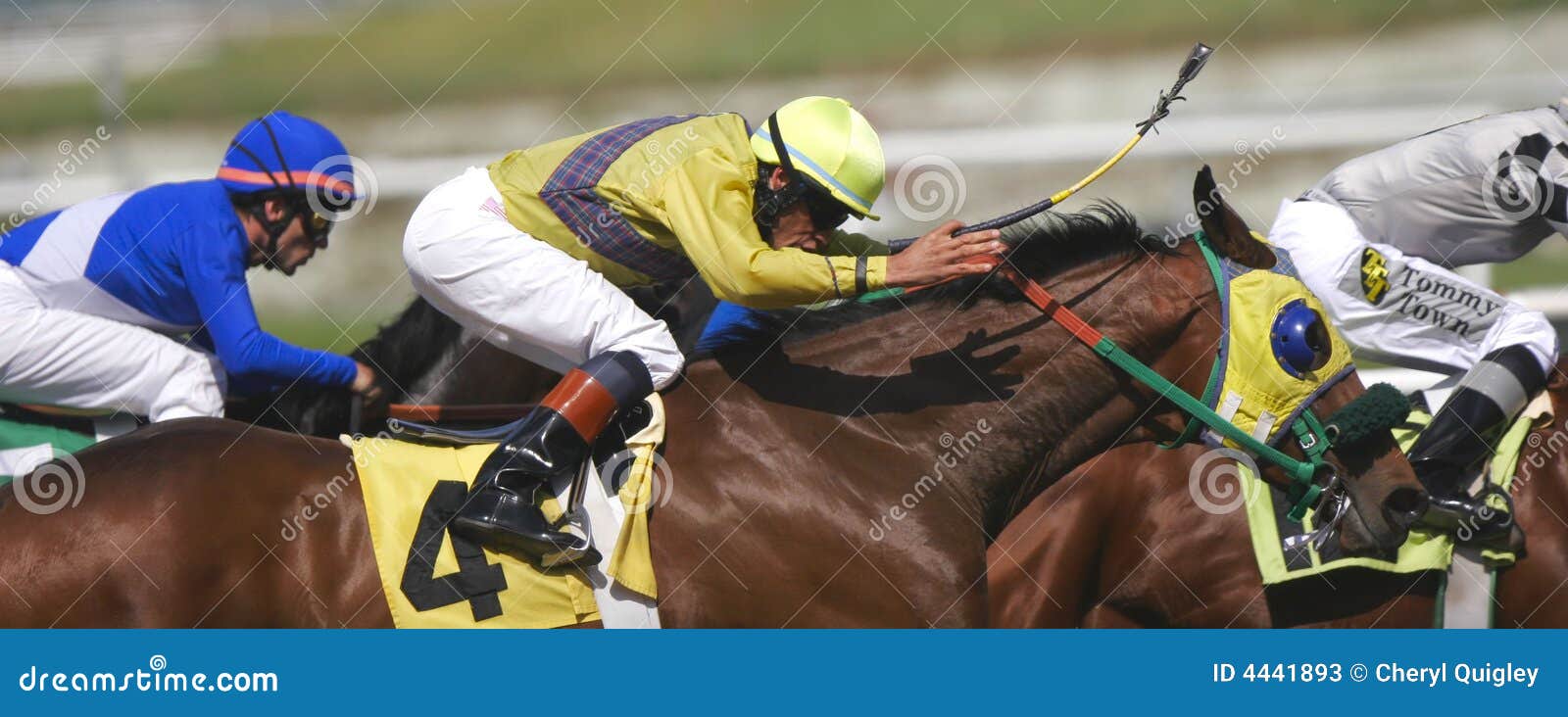 Fight To the Finish -- Horizon Editorial Stock Photo - Image of ...