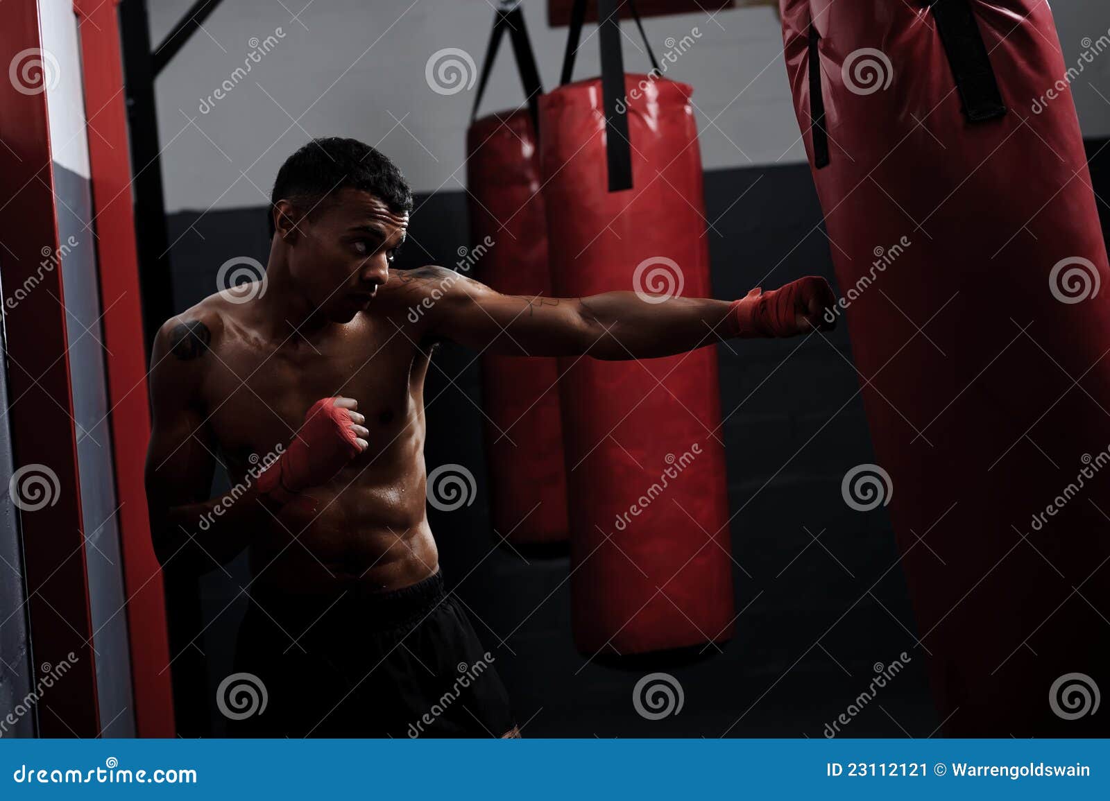 Fight training stock image. Image of equipment, fitness - 23112121