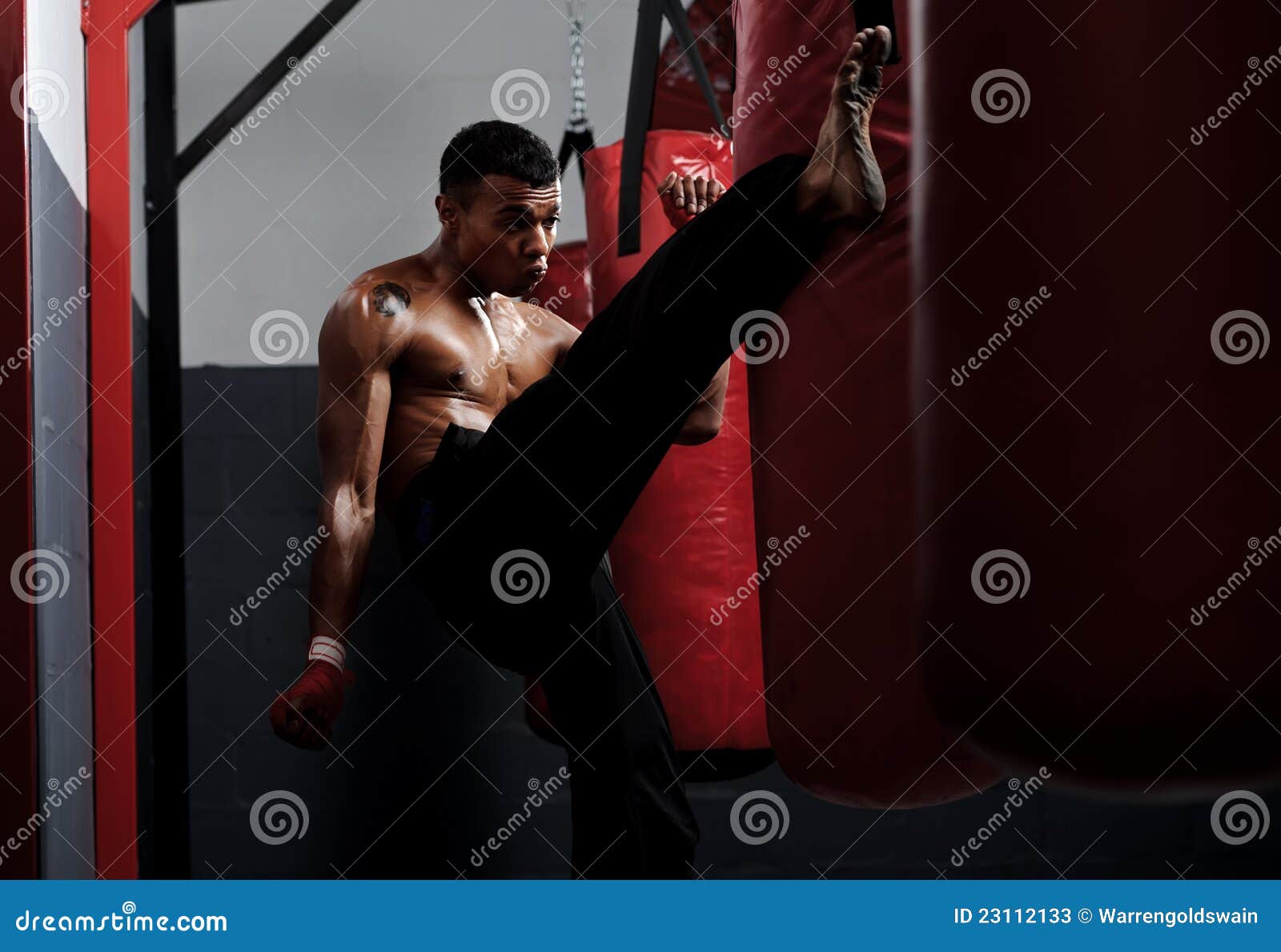 Fight training stock image. Image of fighting, fight - 23112133
