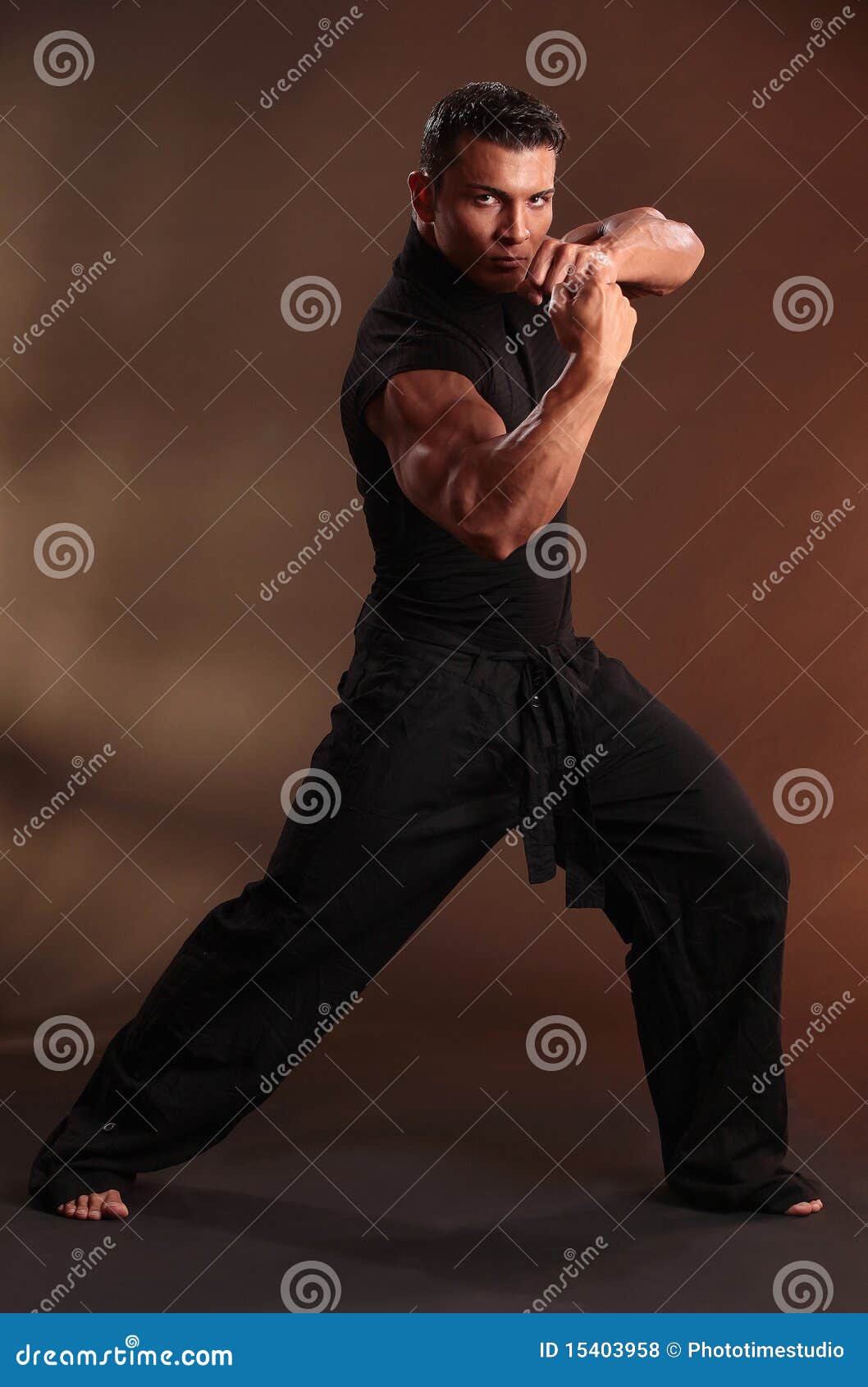 The fighter stock photo. Image of athletic, body, chest - 15403958