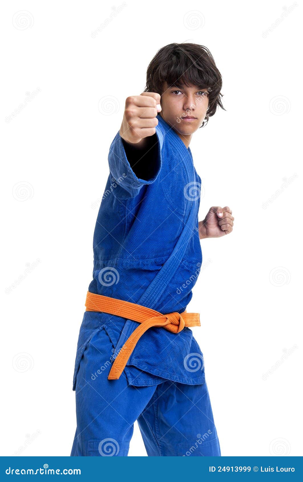 Fighter stock image. Image of caucasian, karate, training - 24913999