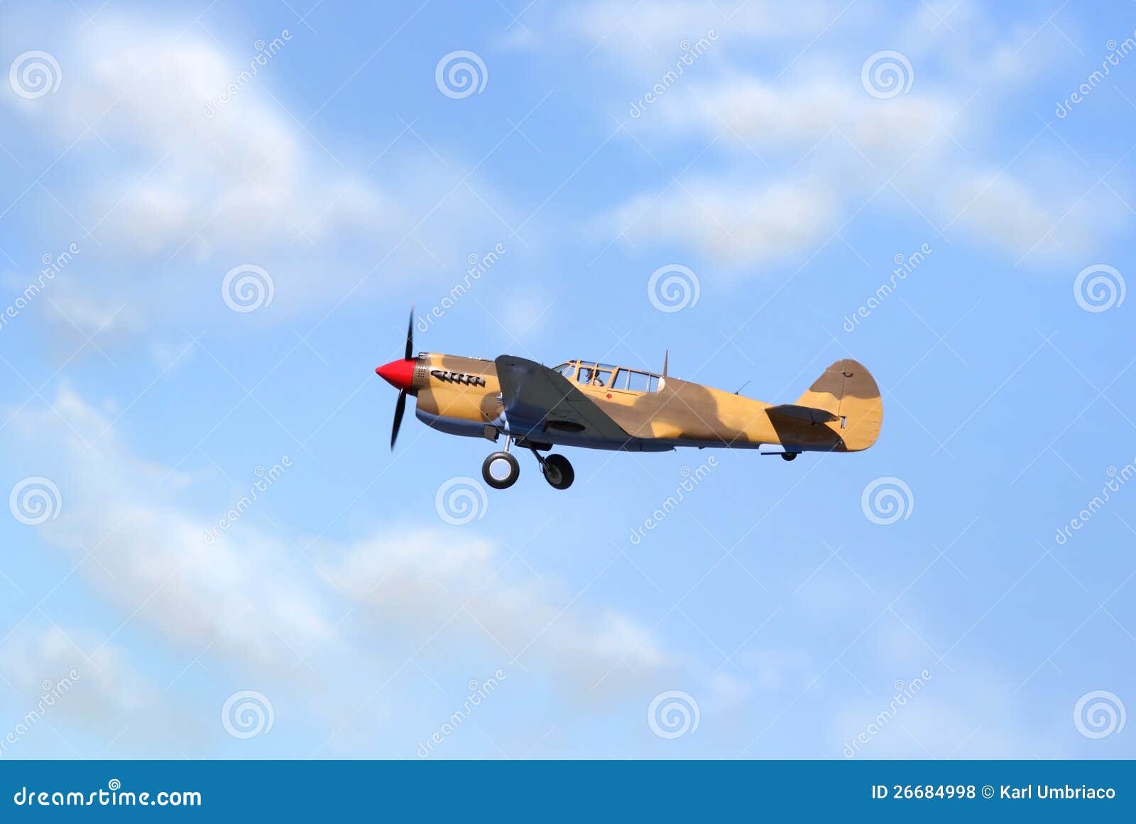 Fighter stock photo. Image of beauty, combat, fighter - 26684998