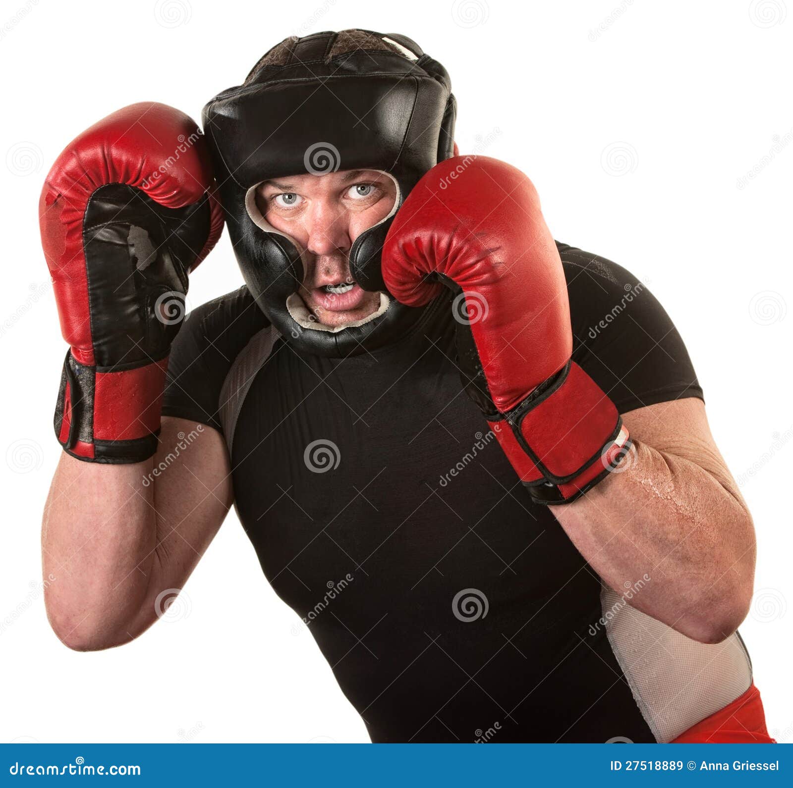 Fighter in Guard Position stock image. Image of muscular - 27518889