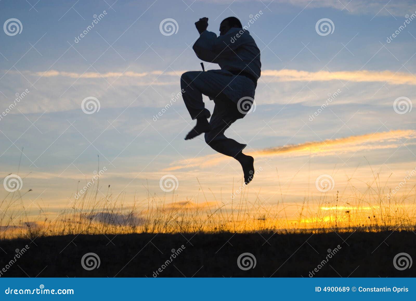 Fighter jumping stock image. Image of fighter, nature - 4900689
