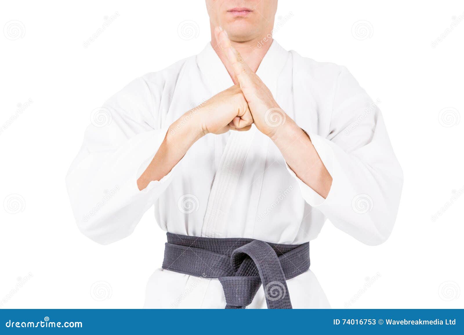 Fighter Performing Hand Salute Stock Image - Image of adult, knot: 74016753