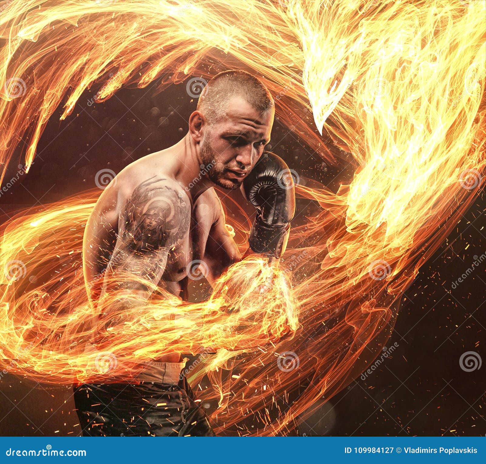 Fighter with Phoenix Fire Bird on Background. Stock Image - Image of ...