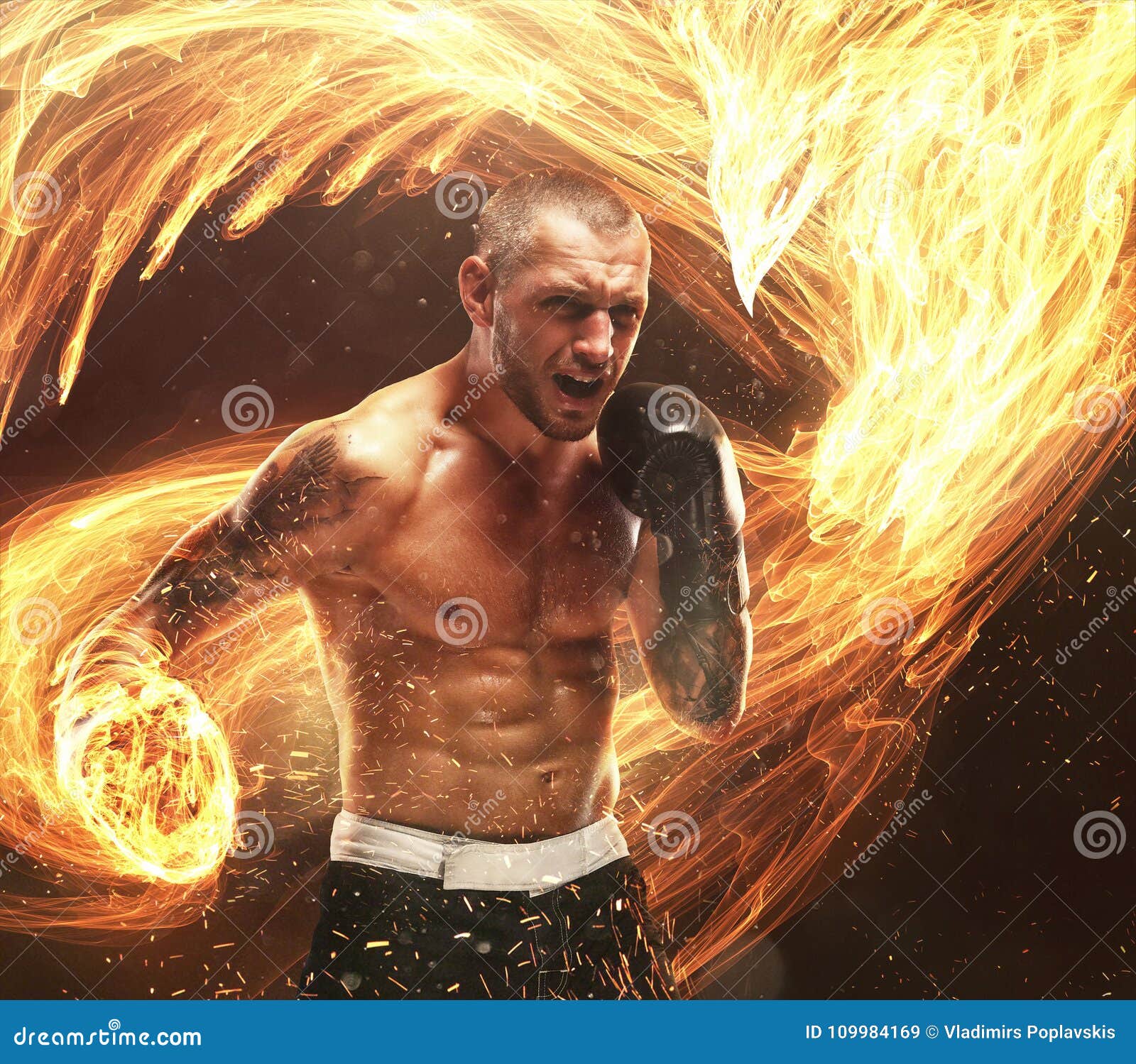 Fighter with Phoenix Fire Bird on Background. Stock Image - Image of ...