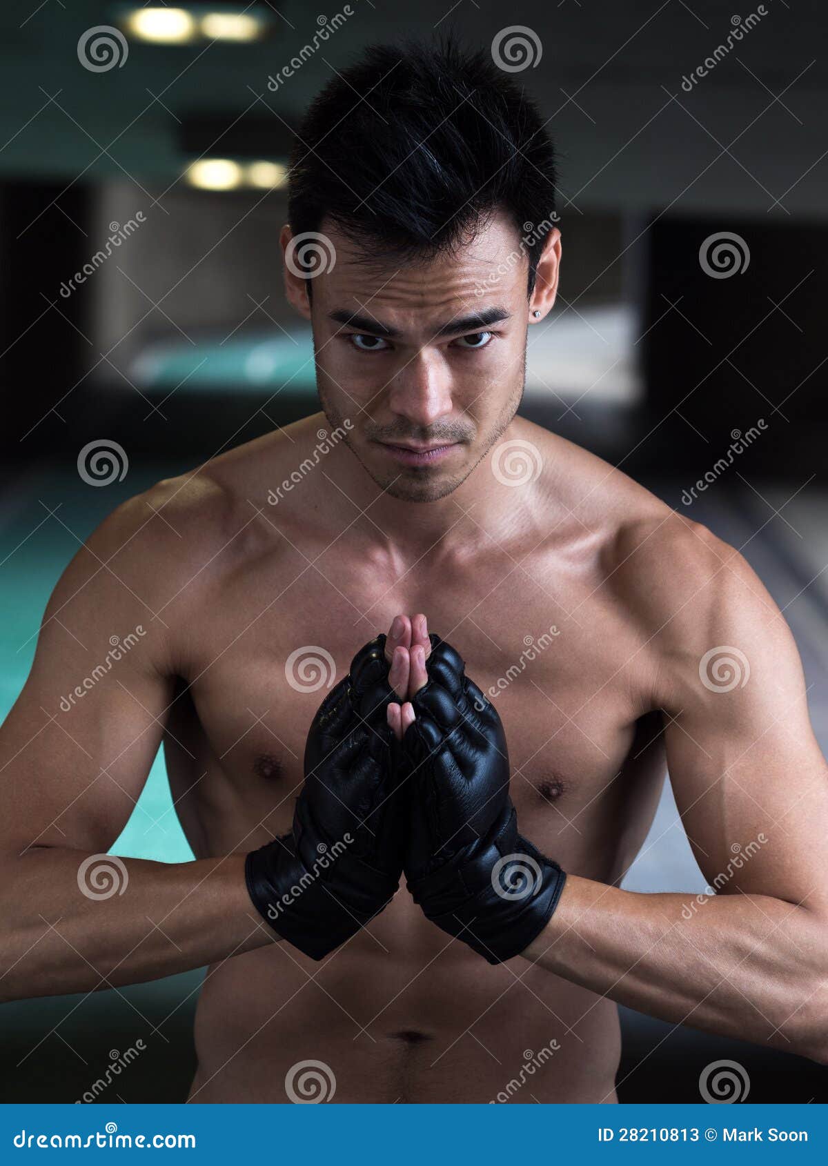 Fighter Respect Pose stock image. Image of confident - 28210813