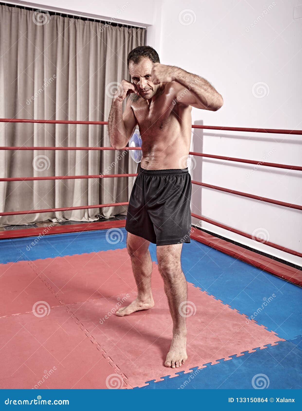Fighter Shadow Boxing in the Ring Stock Photo - Image of practice ...