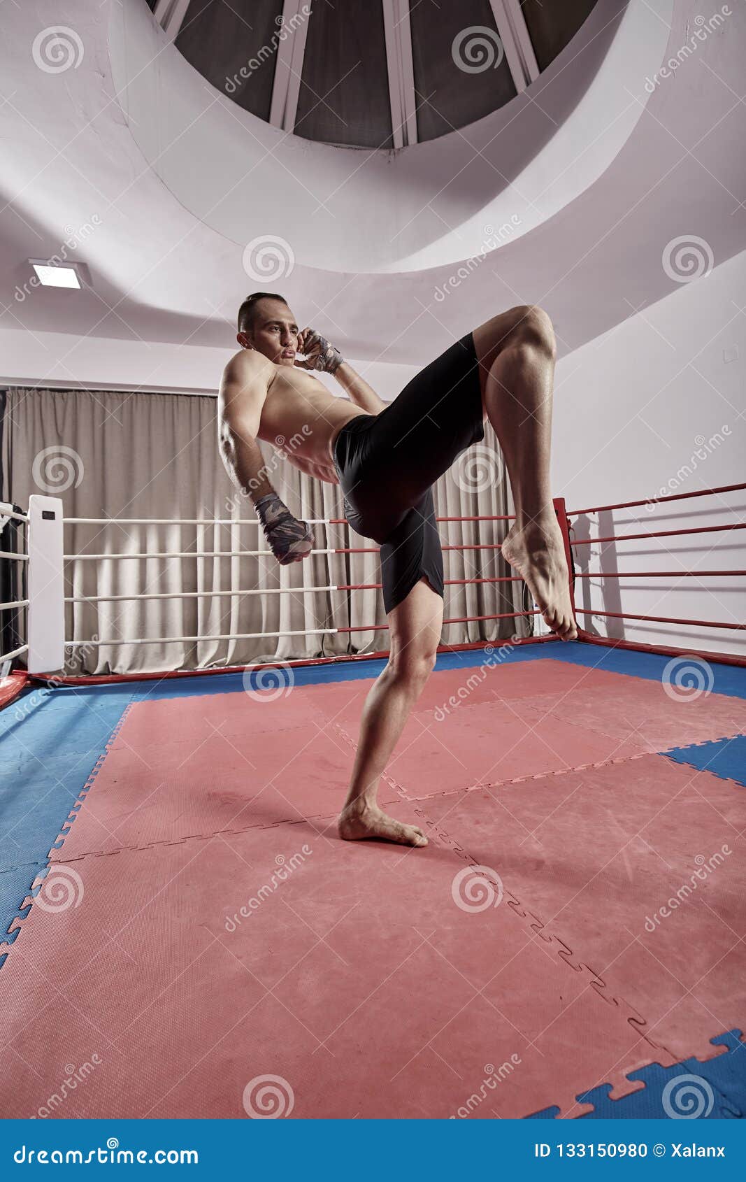 Fighter Shadow Boxing in the Ring Stock Photo - Image of martial, body ...