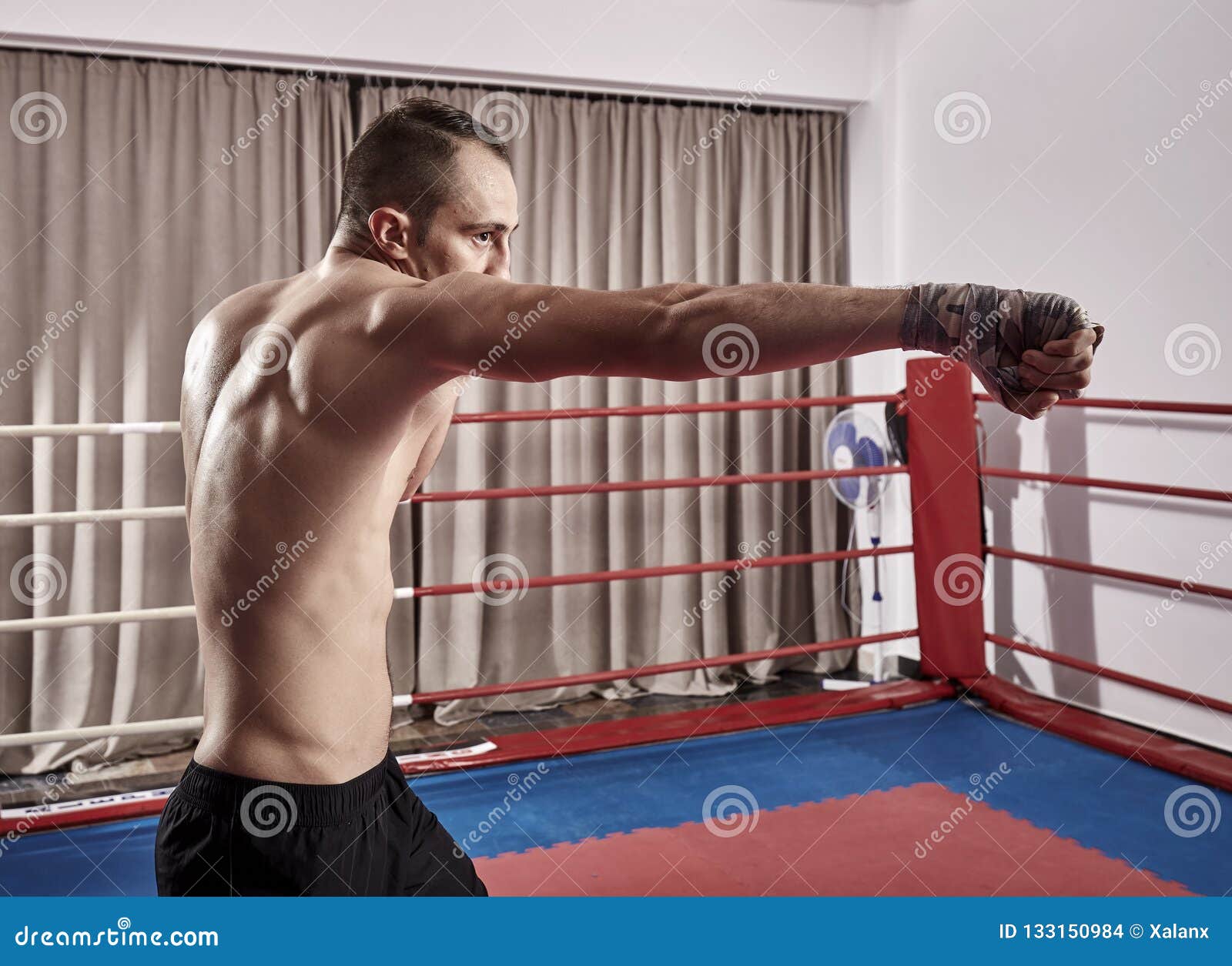 Fighter Shadow Boxing in the Ring Stock Photo - Image of muay, fight ...