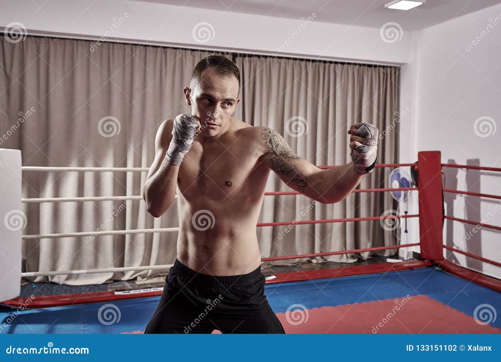 Fighter Shadow Boxing in the Ring Stock Photo - Image of healthy ...