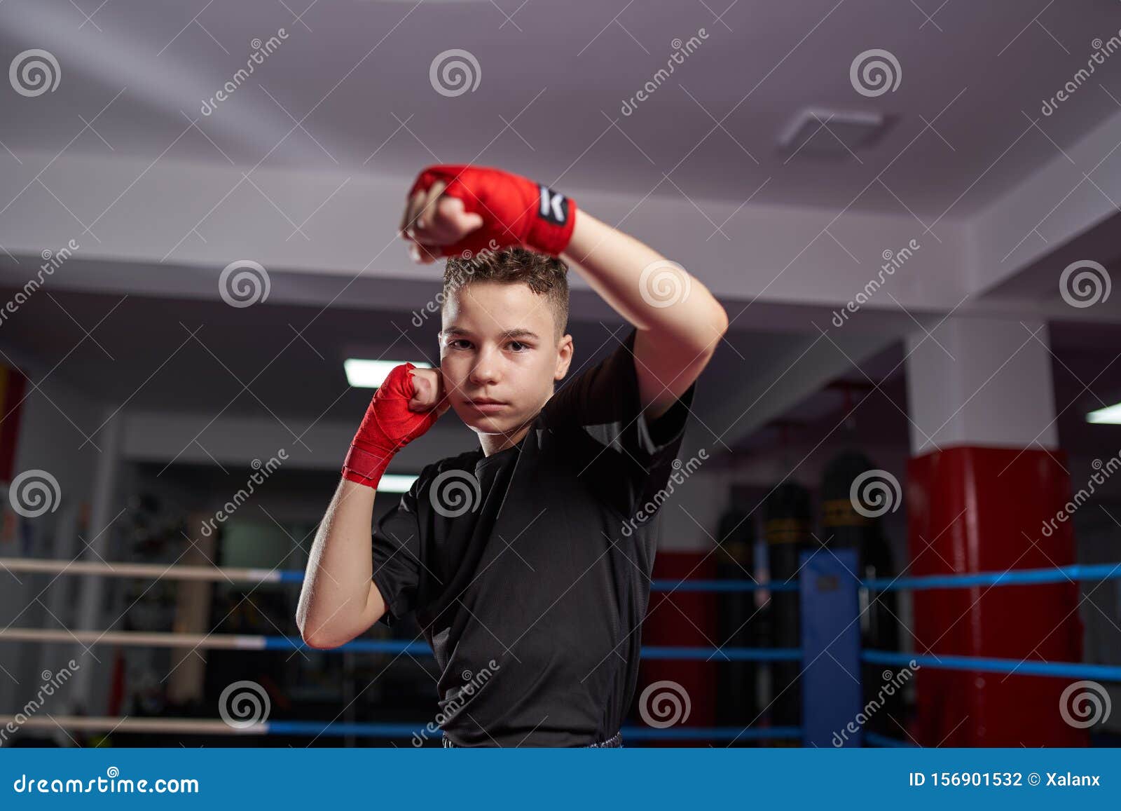 Fighter Shadow Boxing in the Ring Stock Photo - Image of practice ...
