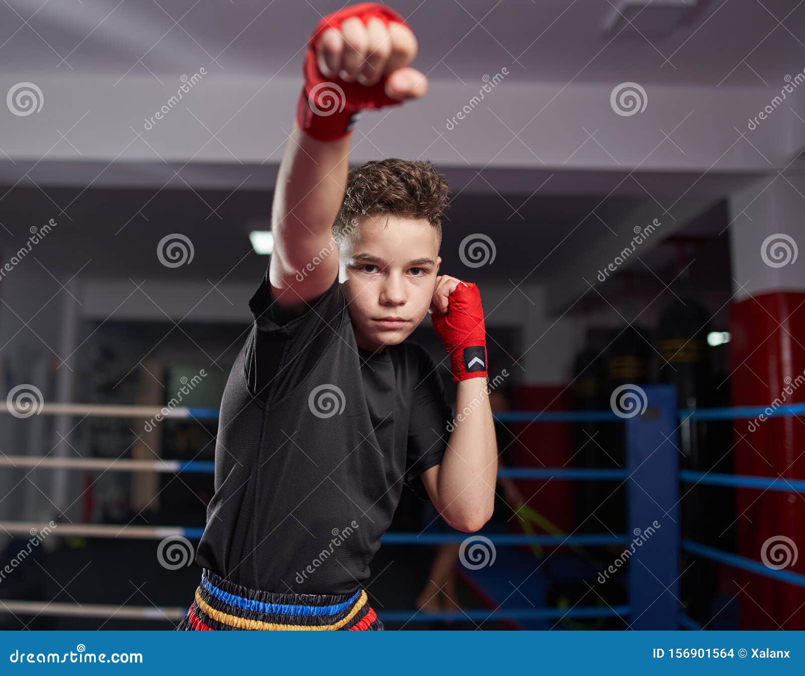 Fighter Shadow Boxing in the Ring Stock Photo - Image of fight, boxer ...