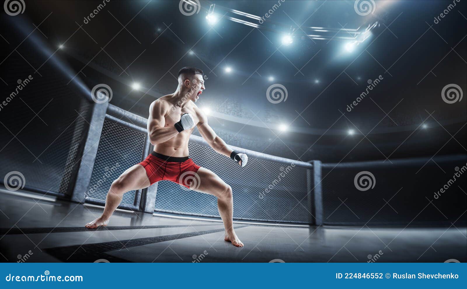 Fighter Stance. MMA Fighter in the Octagon. Athlete. Side View. Sport ...
