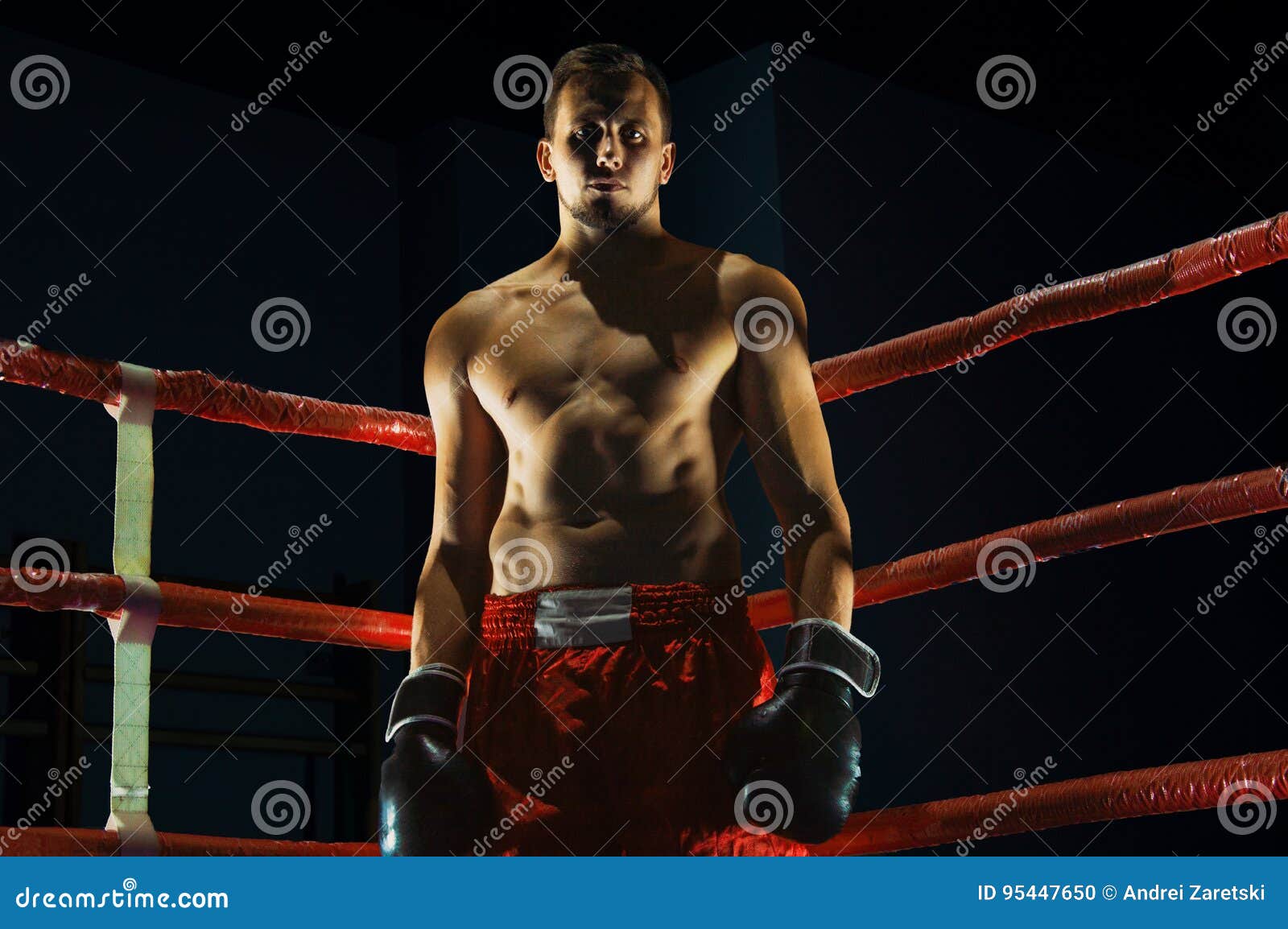 The Fighter Stands in the Corner of the Ring. Stock Photo - Image of ...