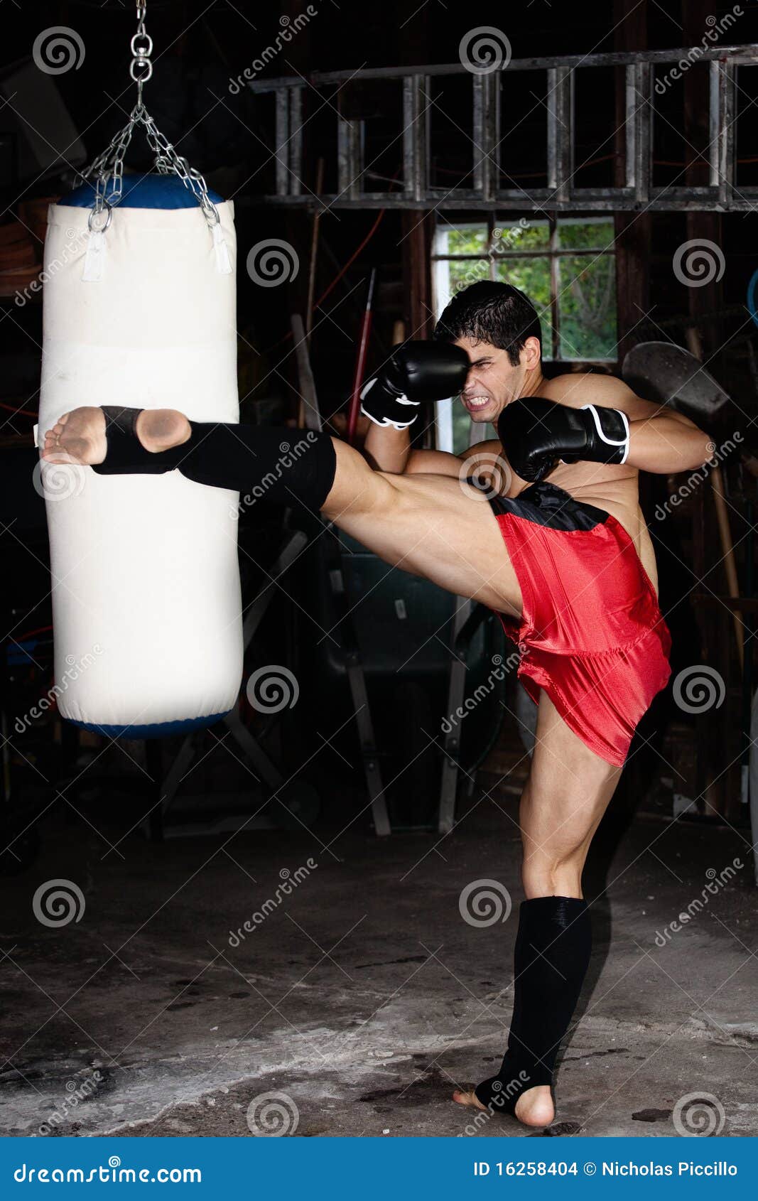 Fighter Training in Garage. Stock Photo - Image of training, person ...