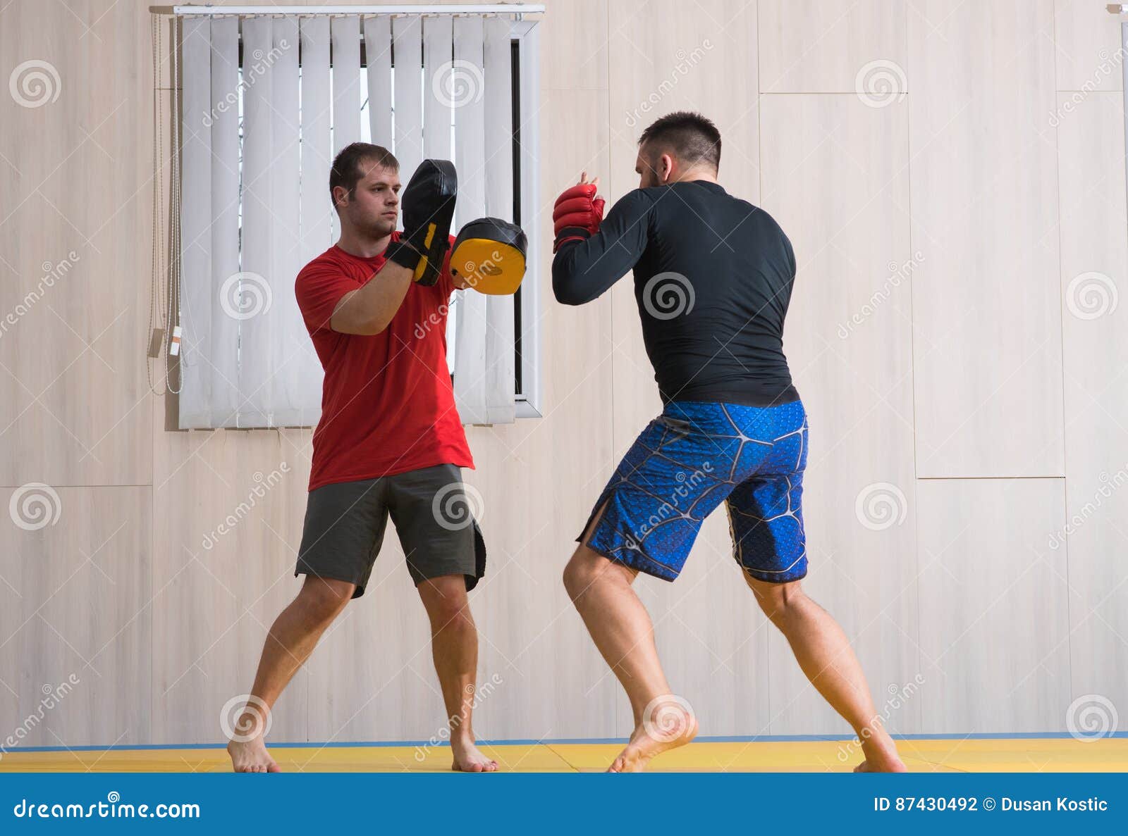 Fighter Training His MMA Skills Stock Photo - Image of training ...