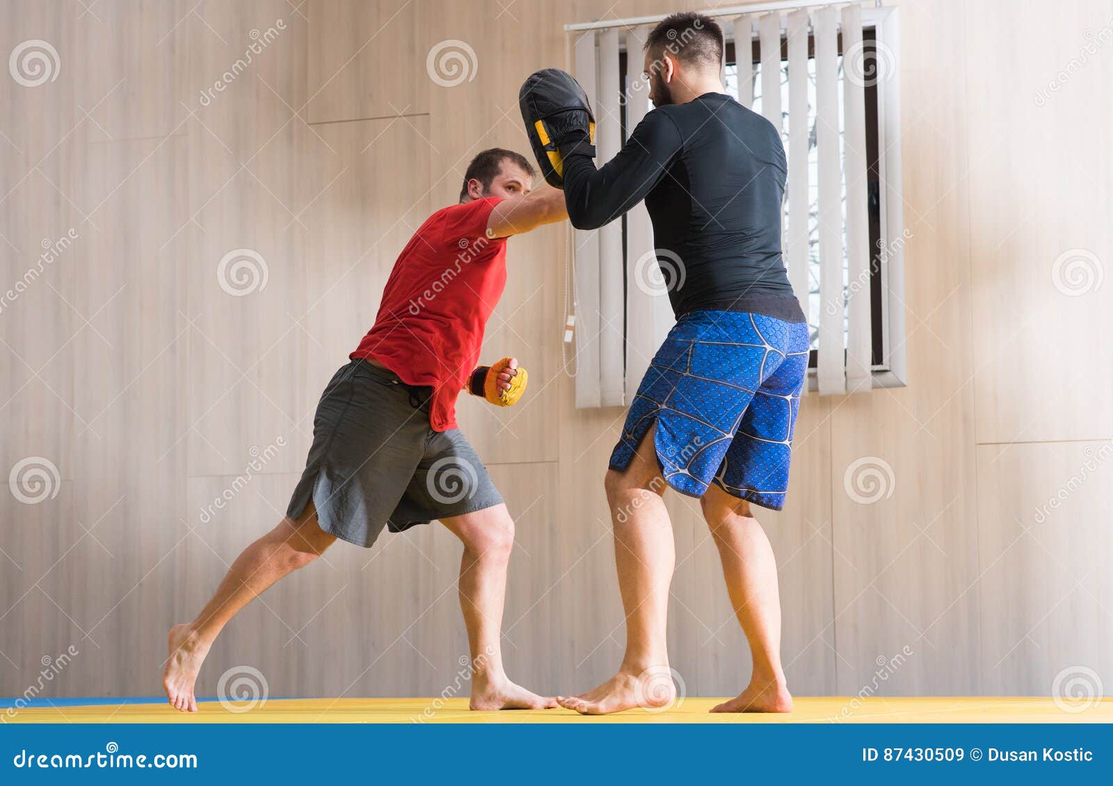 Fighter Training His MMA Skills Stock Image - Image of power, improving ...