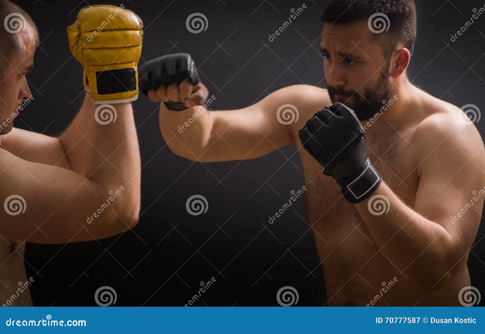 Fighter training MMA stock image. Image of healthy, torso - 70777587