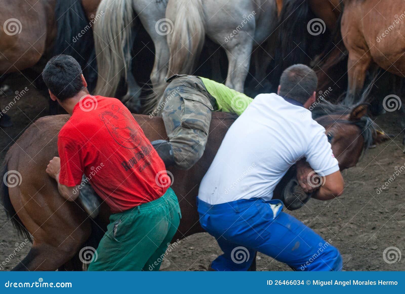 Fighters men editorial stock image. Image of pontevedra - 26466034