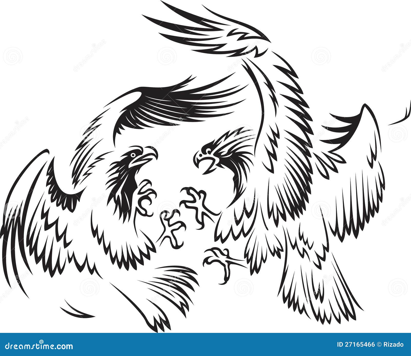 Fighting birds stock illustration. Illustration of contrast - 27165466