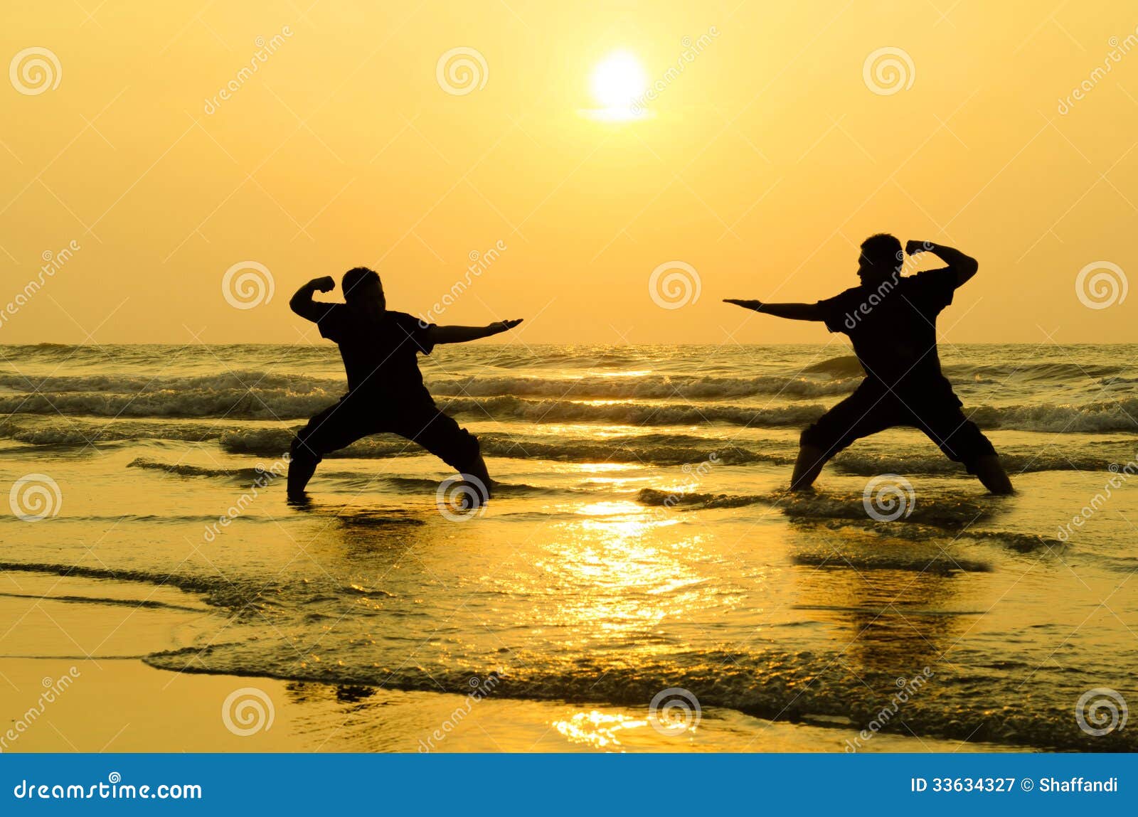Fighting an Enemy Near the Beach Stock Image - Image of silhouette ...