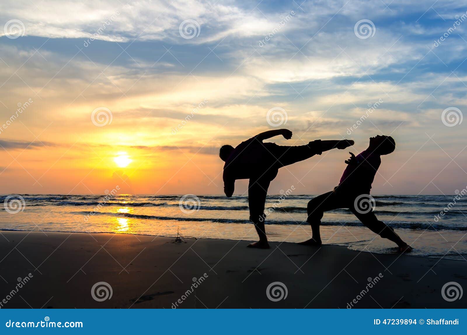 Fighting an Enemy Near the Beach Stock Photo - Image of shaolin, kungfu ...