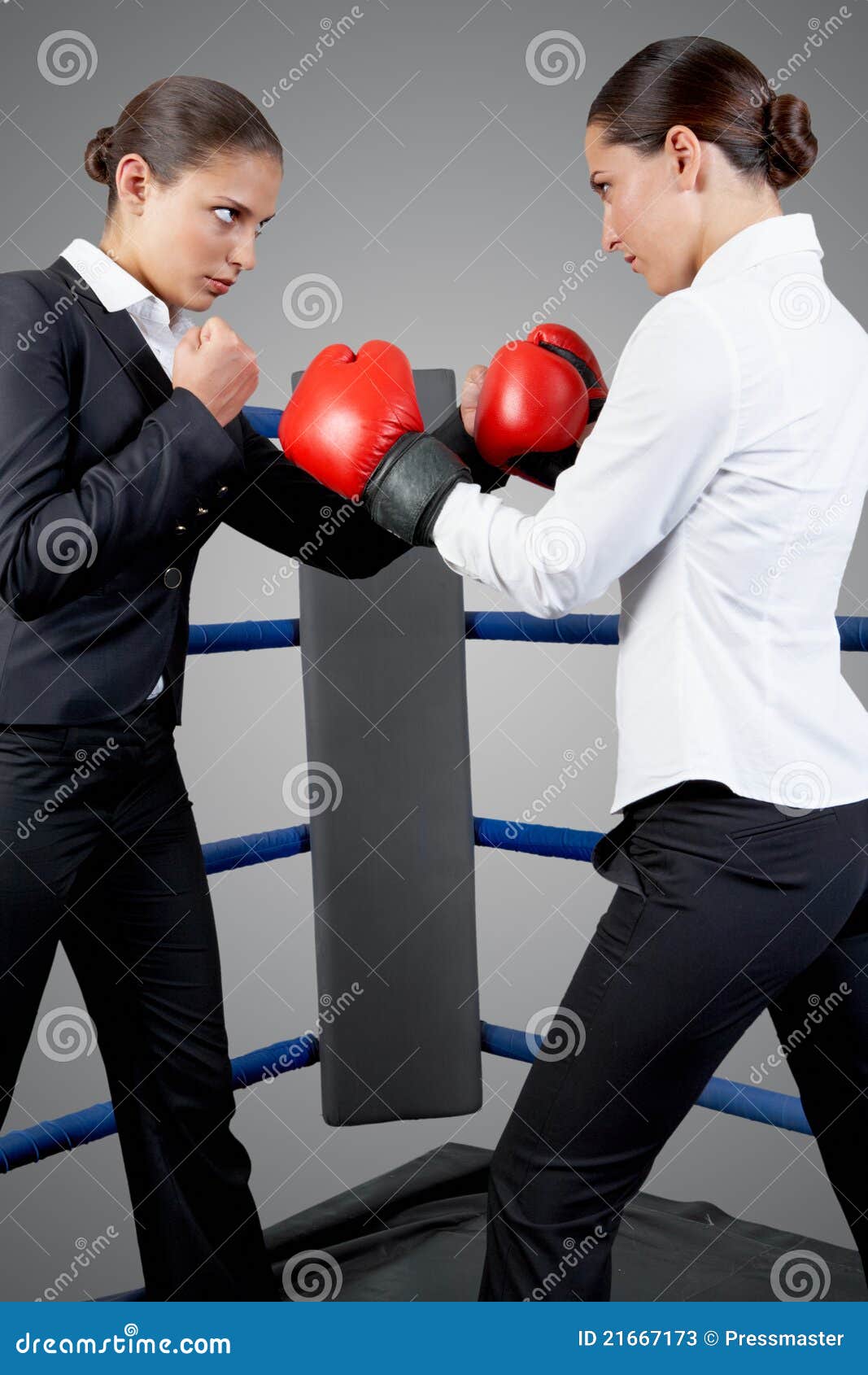 Fighting females stock image. Image of adult, boxing - 21667173