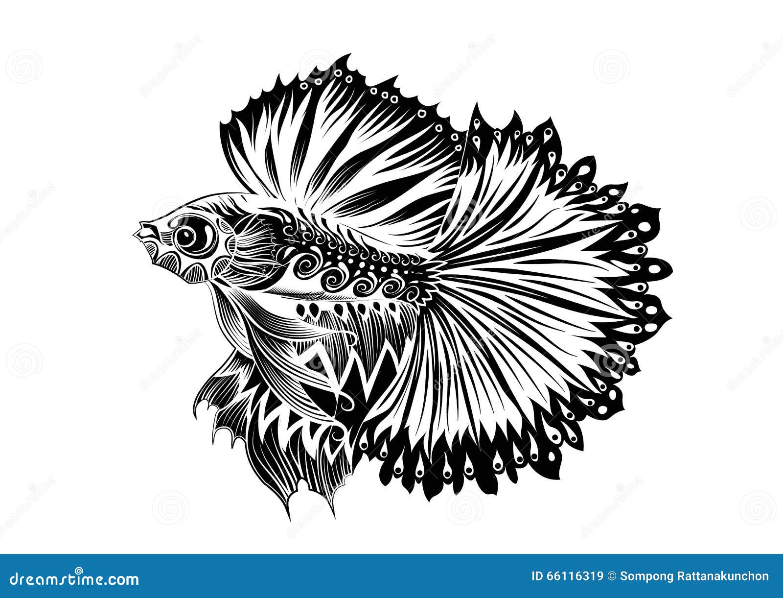 Fighting fish line-01 stock illustration. Illustration of book - 66116319