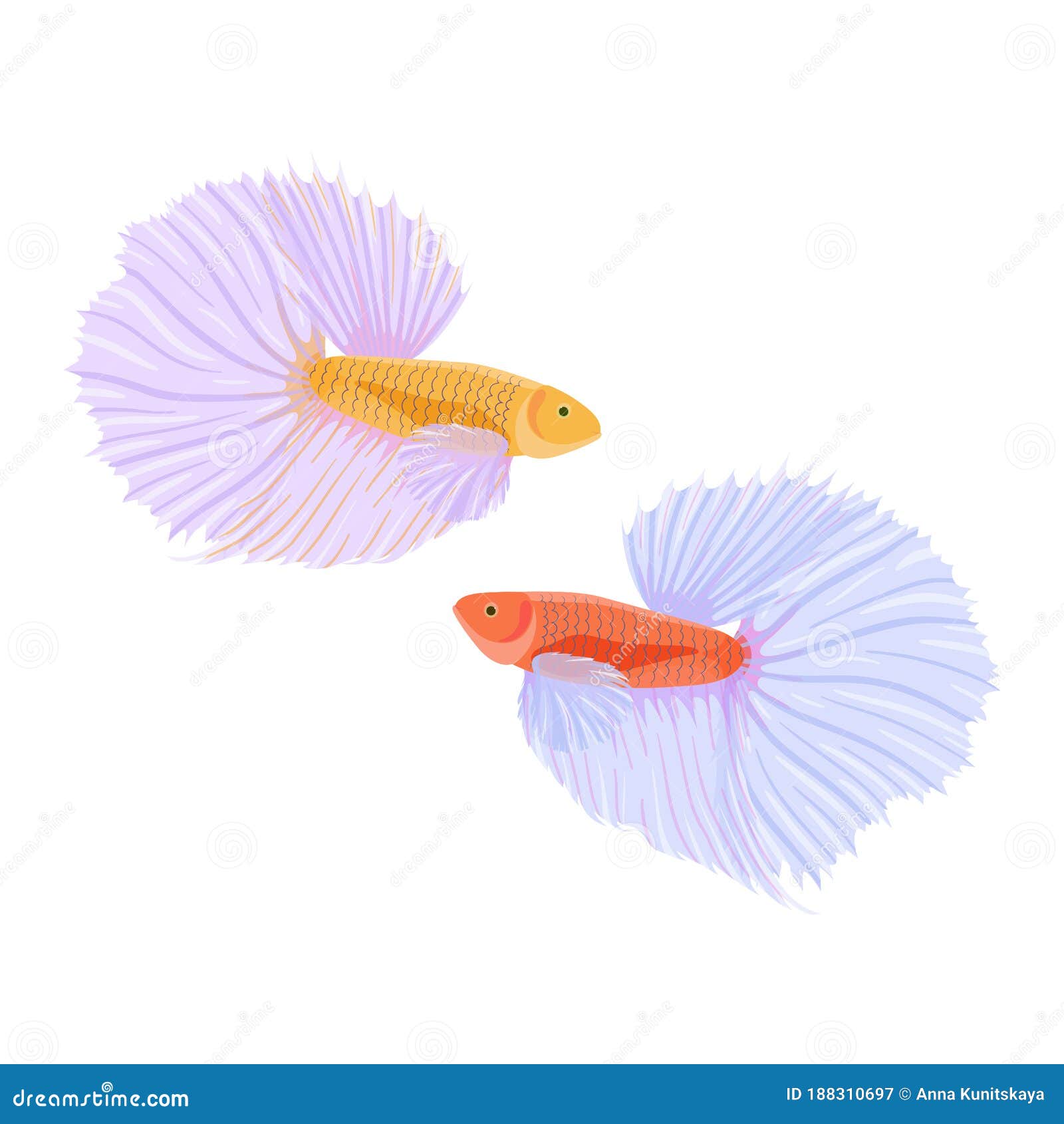 Cartoon Red Betta Fish, Siamese Fighting Fish, Betta Splendens Crown ... Cartoon Red Betta Fish, Siamese Fighting Fish, Betta Splendens Crown ...