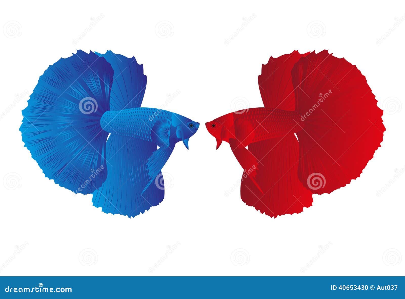 Fighting Fish Hand Drawn Coloring Page Cartoon Vector | CartoonDealer ...