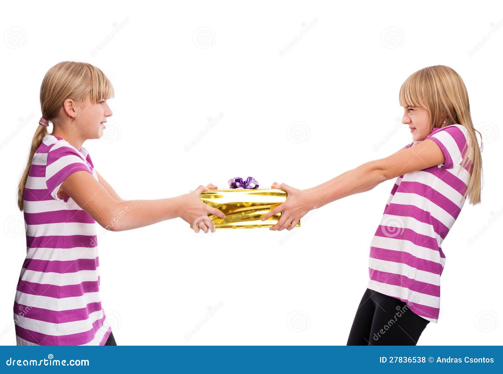 Fighting for a gift stock photo. Image of cardboard, christmas - 27836538