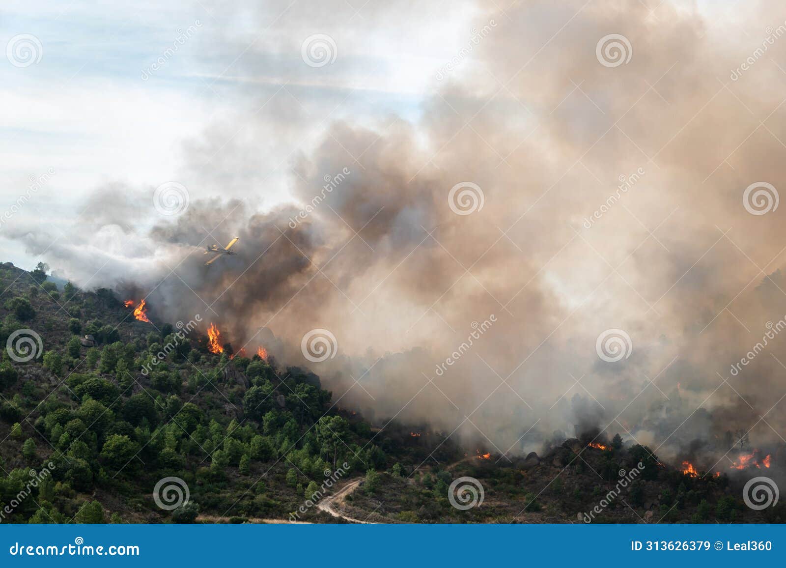 Fighting Hell: Plane on Critical Mission Against Fires Stock Image ...