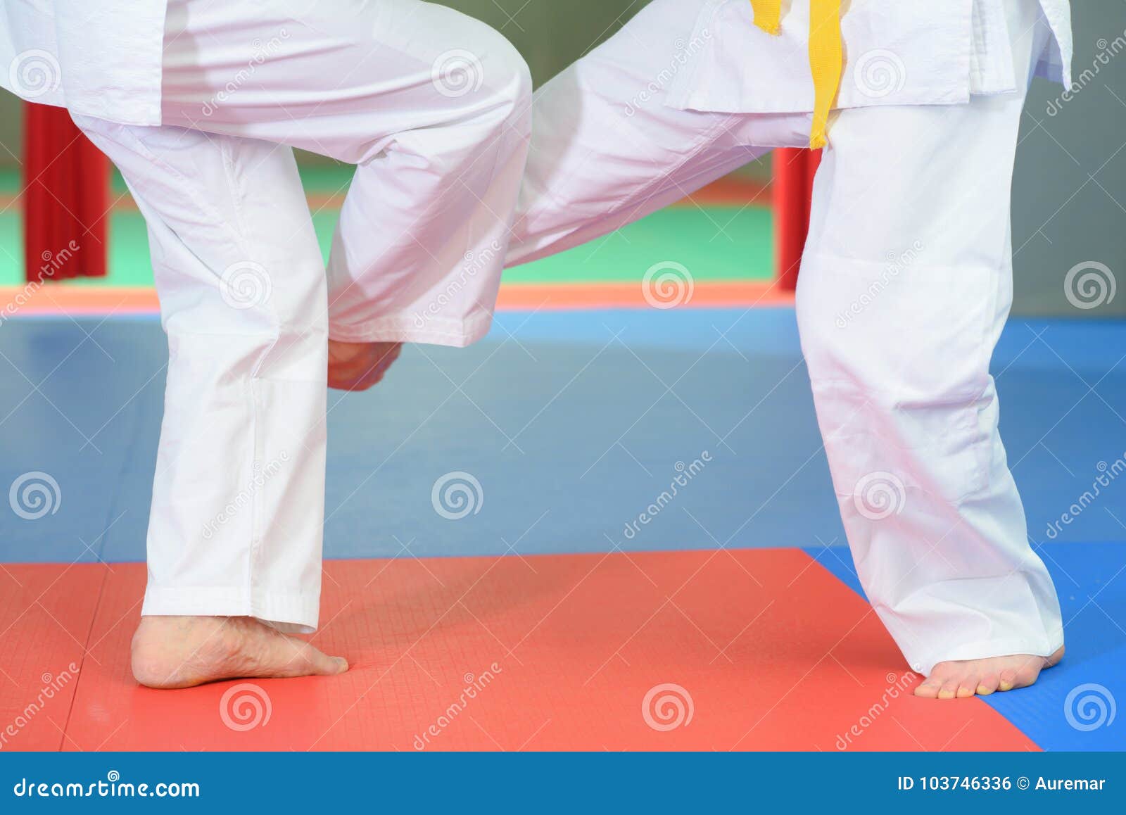 Fighting Karate during Public Demonstration Stock Photo - Image of ...