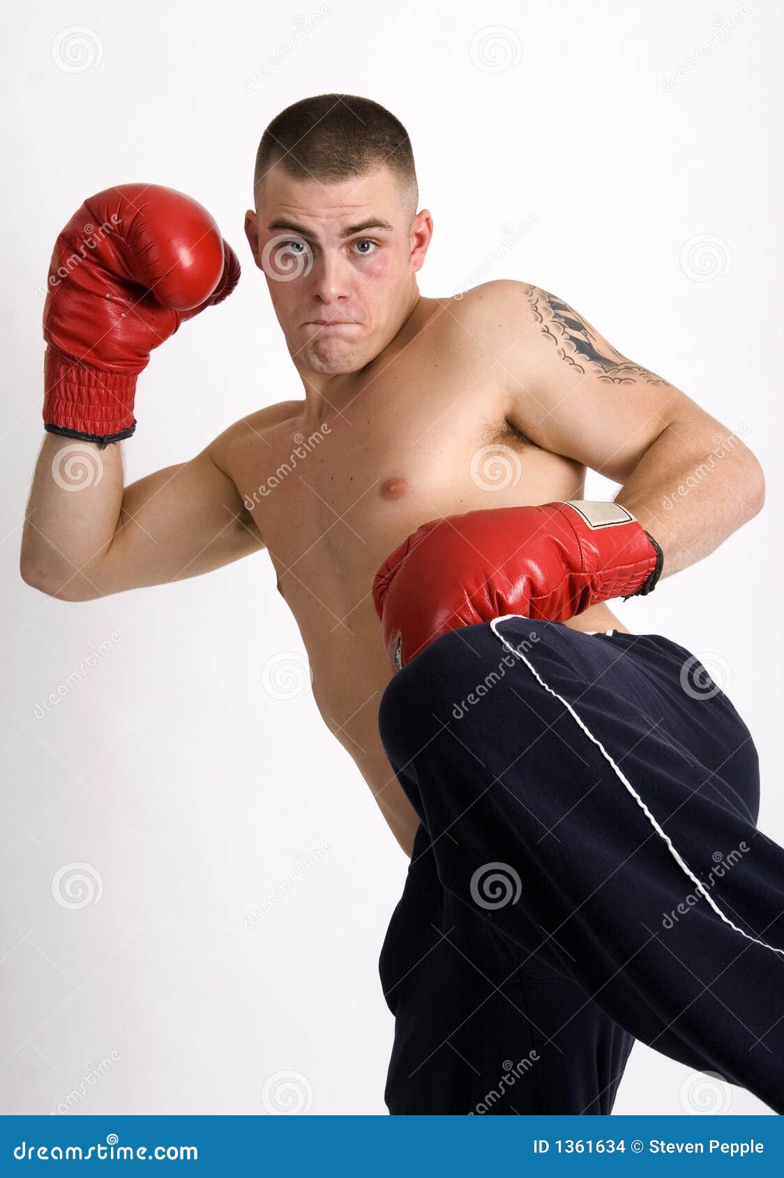 Fighting mad stock photo. Image of protect, ringside, tough - 1361634
