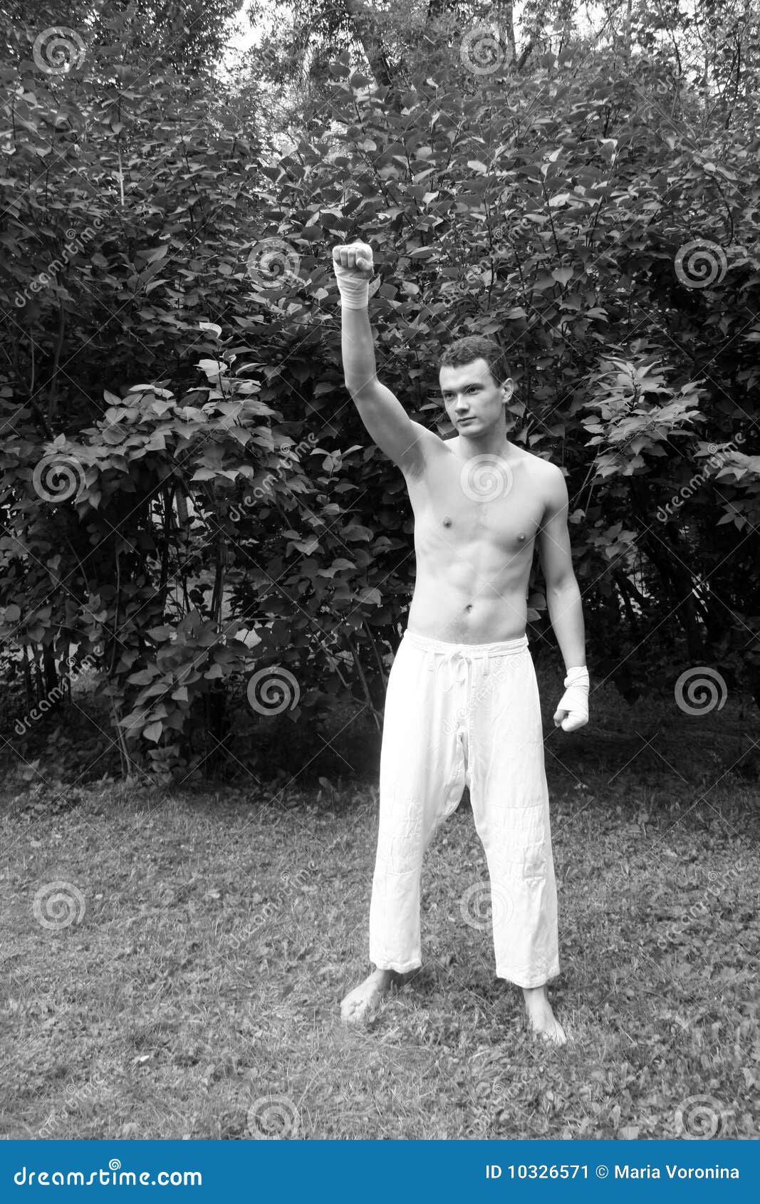 Fighting Man Celebrates His Victory Stock Image - Image of caucasian ...