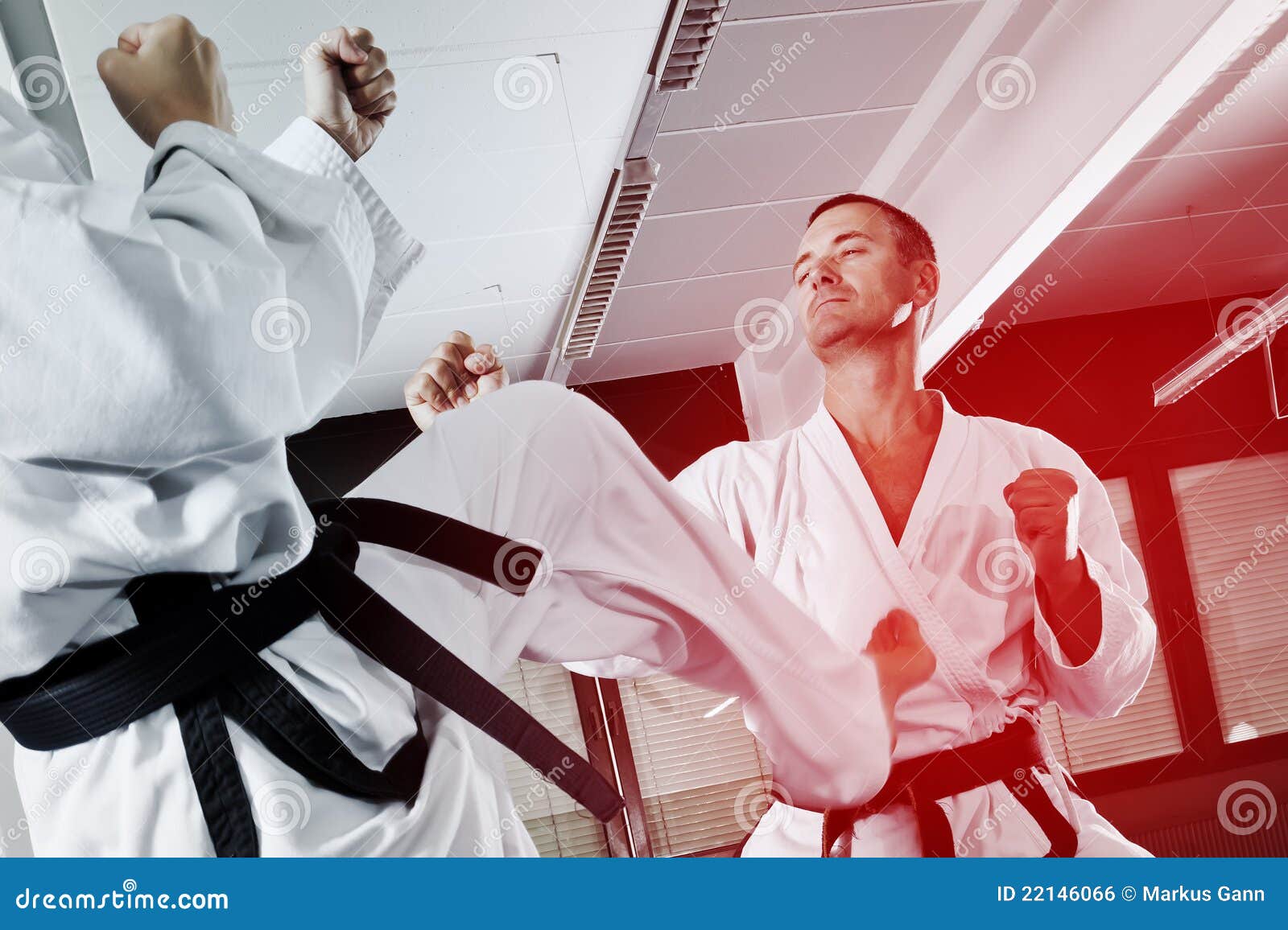 Fighting men stock photo. Image of fight, male, handsome - 22146066