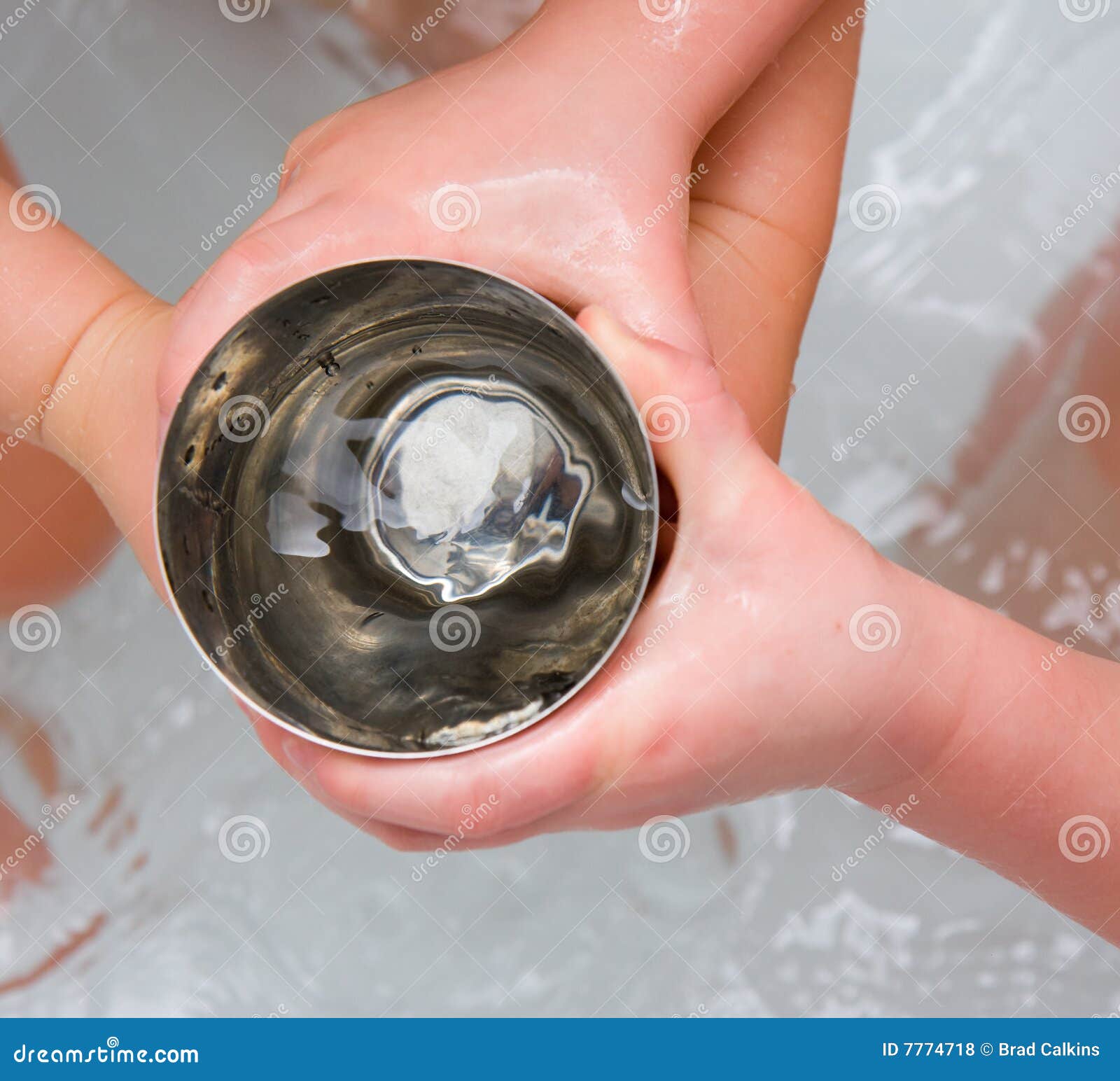 FIghting over water stock photo. Image of brothers, water - 7774718