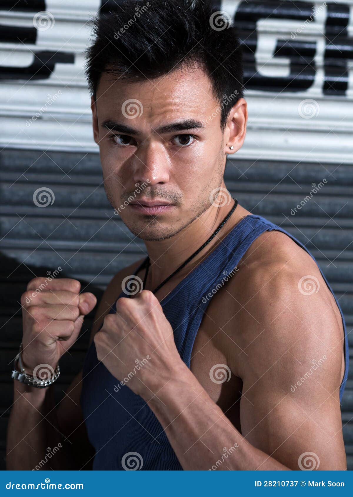 Fighting Pose stock image. Image of portrait, fighter - 28210737