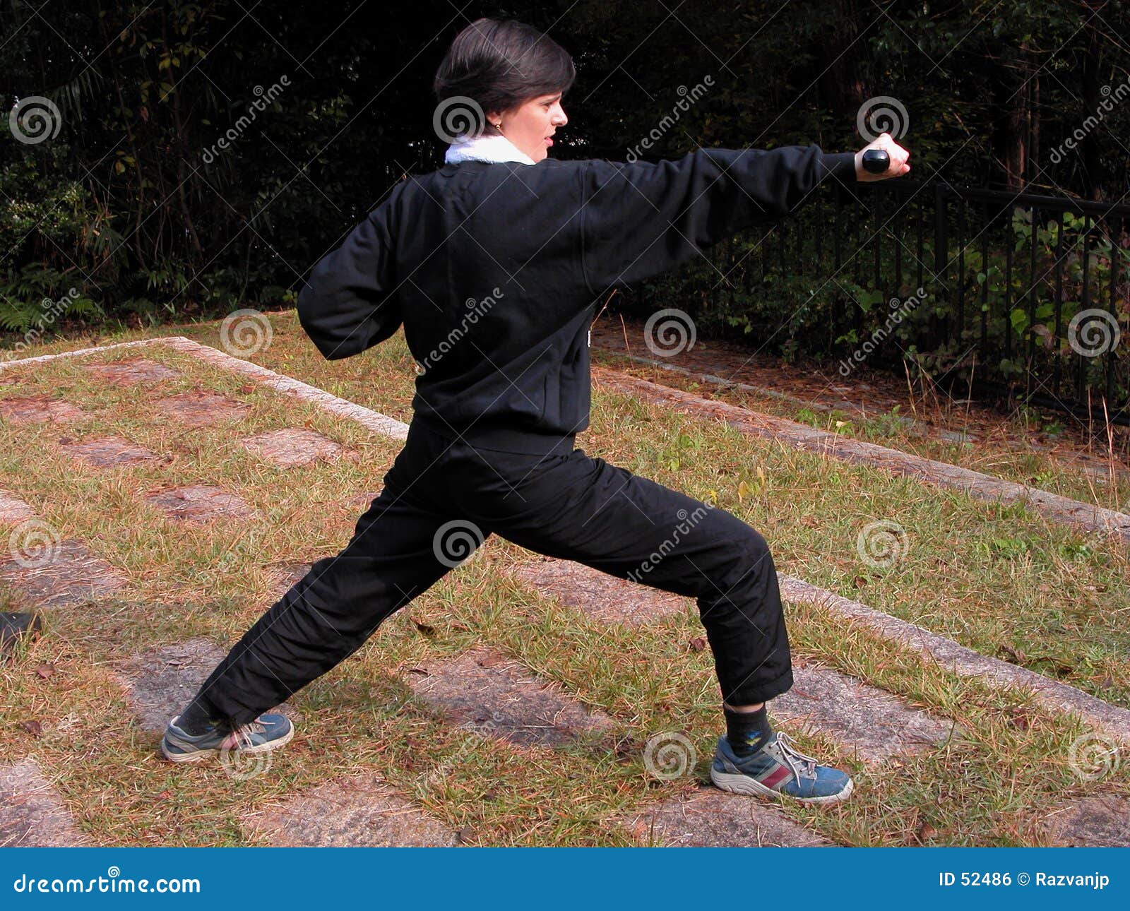 Fighting position stock photo. Image of movement, fitness - 52486