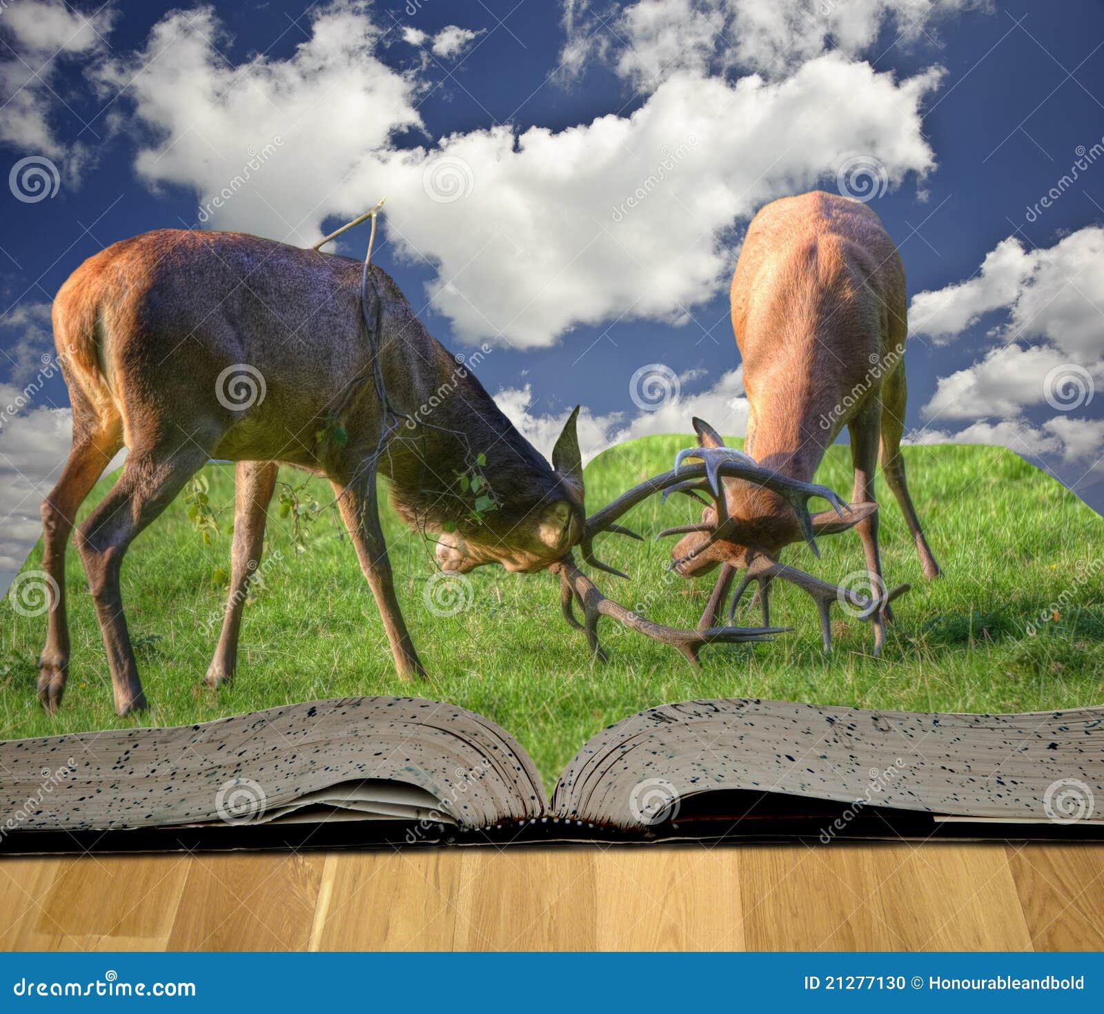 Fighting Red Deer Stags in Pages of Magic Book Stock Photo - Image of ...