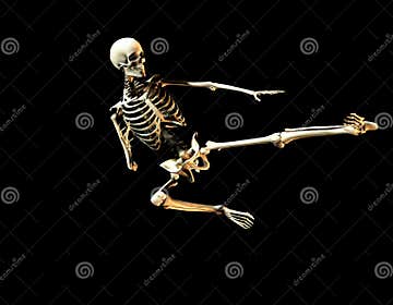 Fighting Skeleton 2 stock illustration. Illustration of joints - 619215