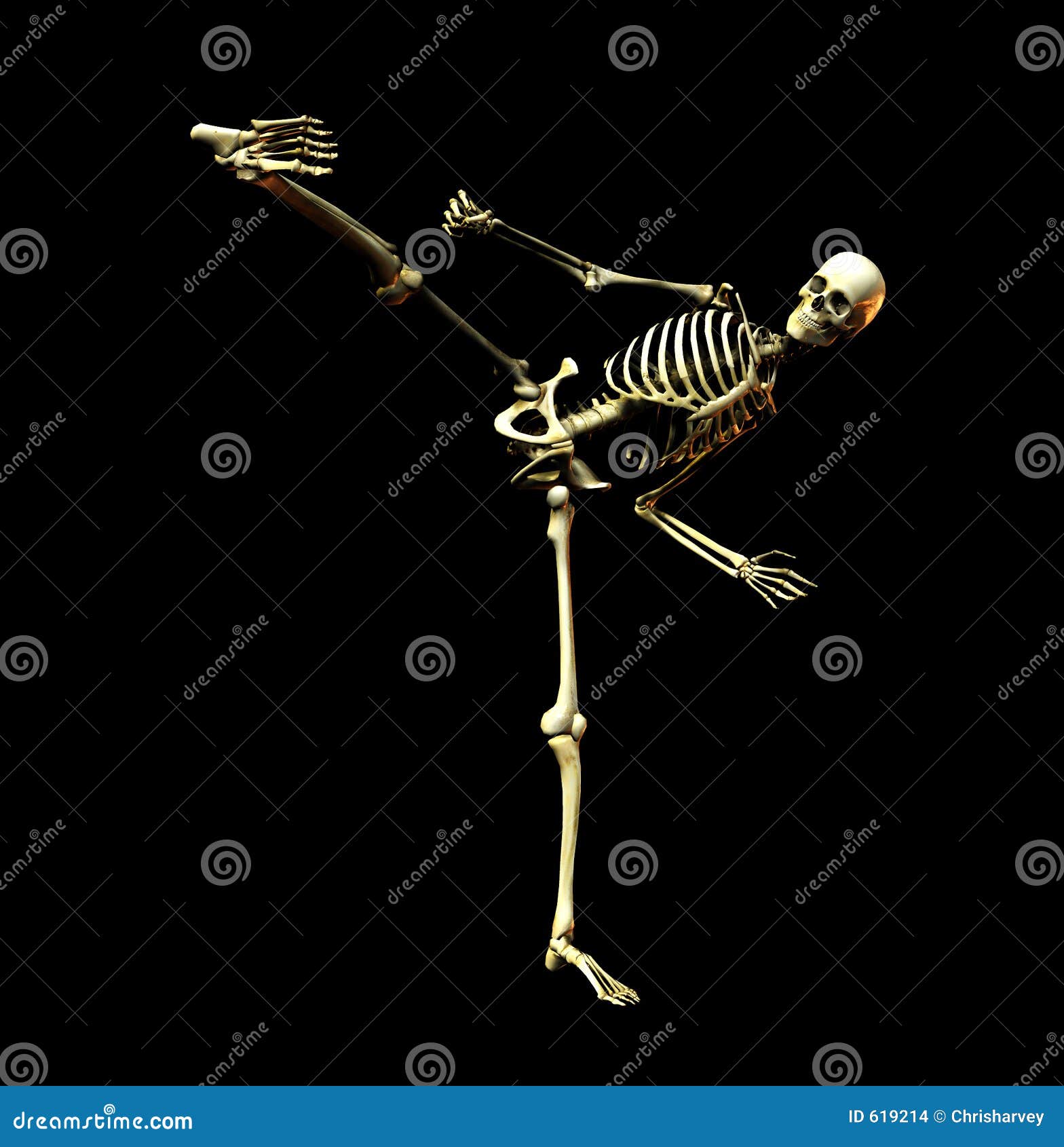 Fighting Skeleton (3D Xray Blue Transparent) Stock Photography ...