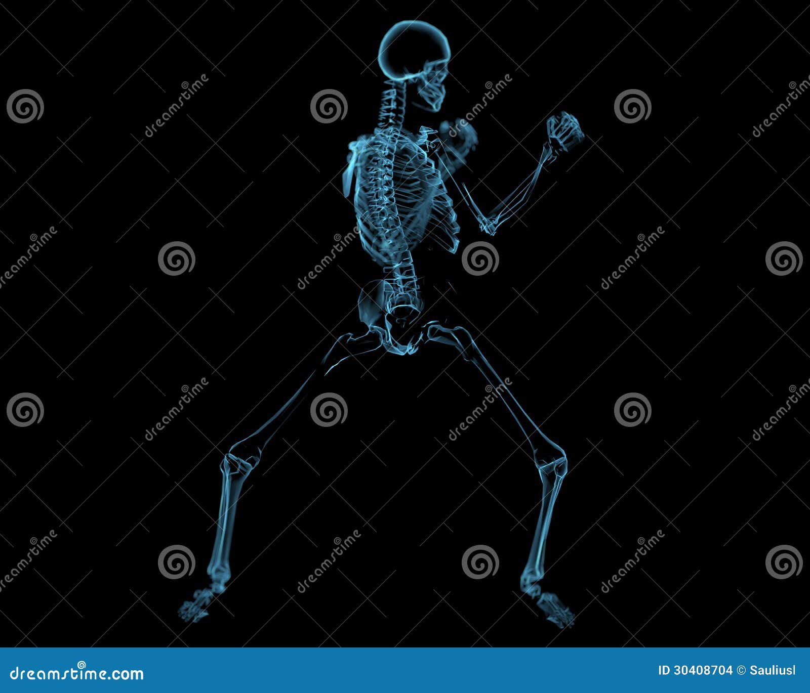 Fighting Skeleton (3D Xray Blue Transparent) Stock Illustration ...