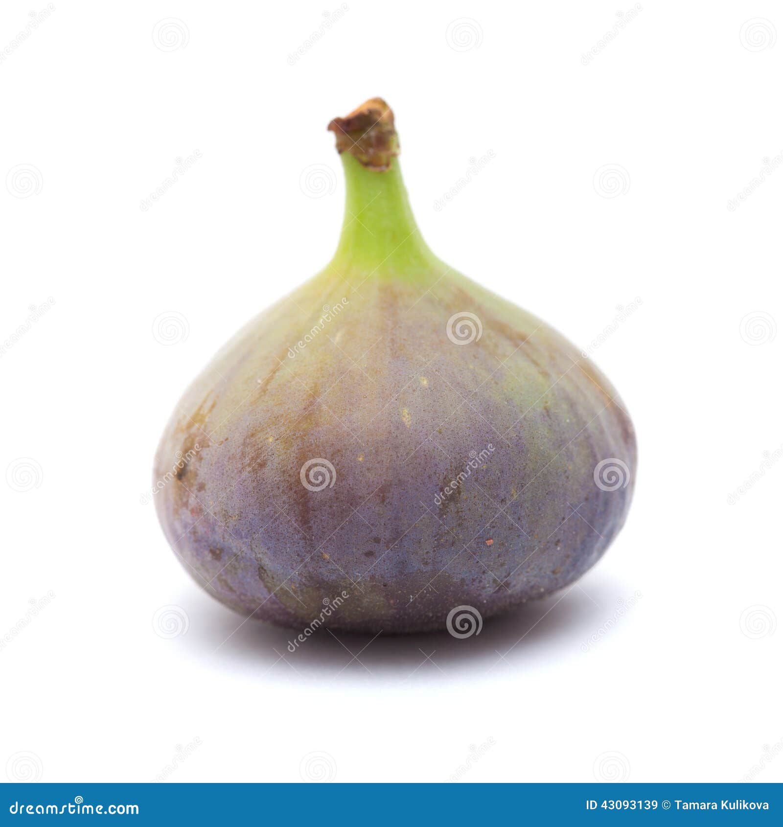 Figo isolado no branco imagem de stock. Imagem de figo - 43093139