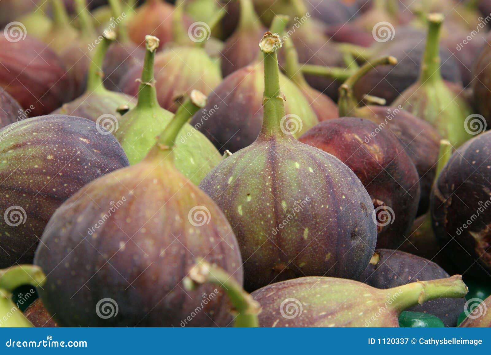 Figs stock image. Image of organic, sugar, fibers, juicy - 1120337
