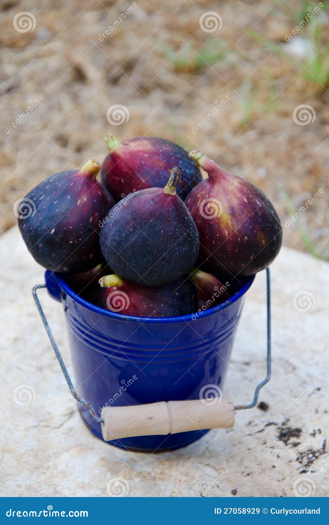 Figs in the Blue Basket on the White Jerusalem Stone Stock Image ...