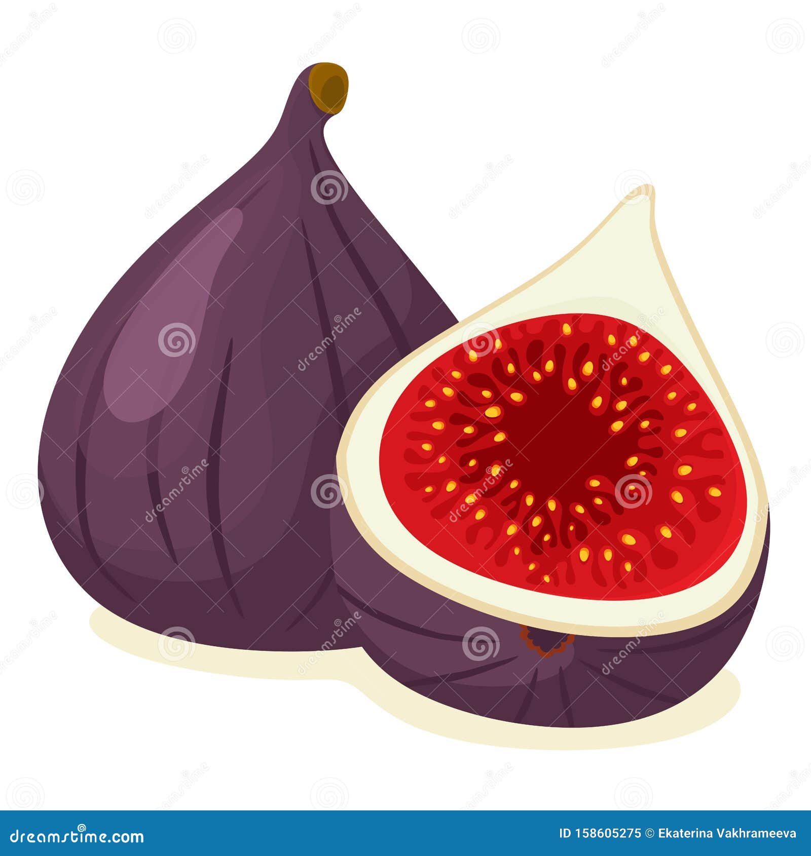 Figs in Cartoon Flat Style on a White Background. Vector Isolate. Stock ...